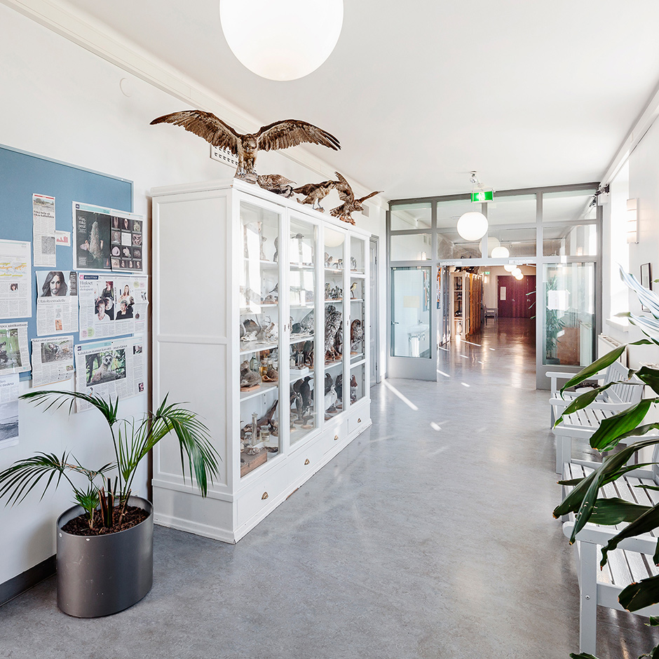 Töölön Yhteiskoulun Aikuislukio